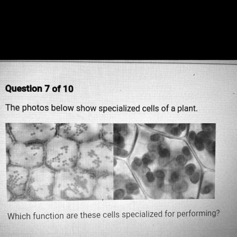 The photos below show specialized cells of a plant. Which...