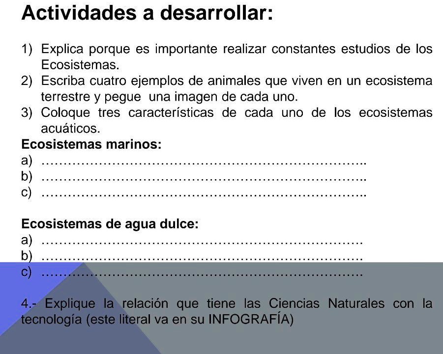 escribe 4 ejemplos de animales que viven en una ecosistema terrestre y ...
