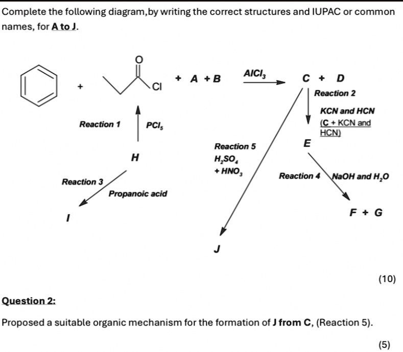 complete the following diagram by writing the correct structures and ...