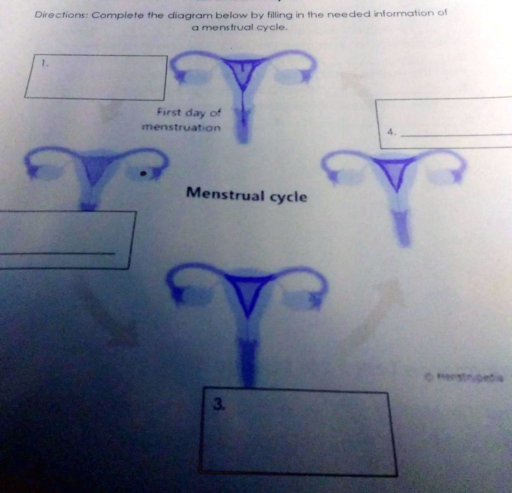 SOLVED: In Science 5 Q2 Module 2-Week 2: The Menstrual Cycle ...