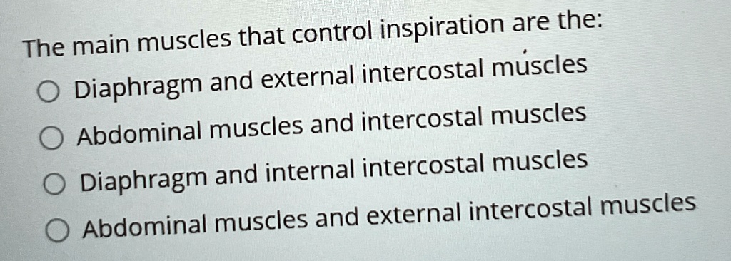 The main muscles that control inspiration are the: Diaphragm and ...