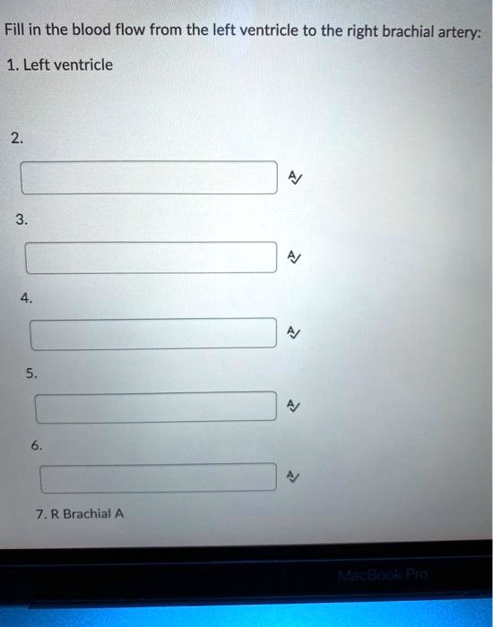 Fill in the blood flow from the left ventricle to the right brachial ...