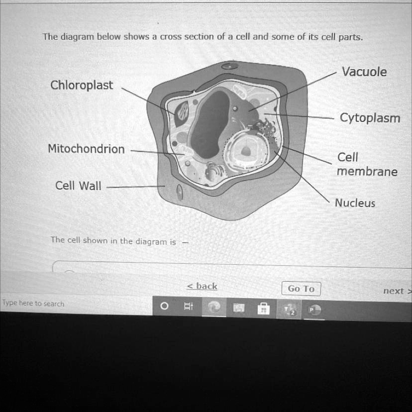 The diagram below shows a cross section of a cell and some of its cell ...