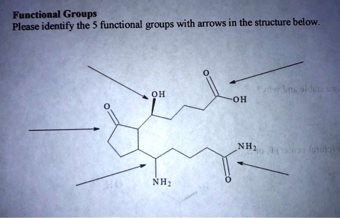 SOLVED: Functional Groups Please identify the functional groups with ...