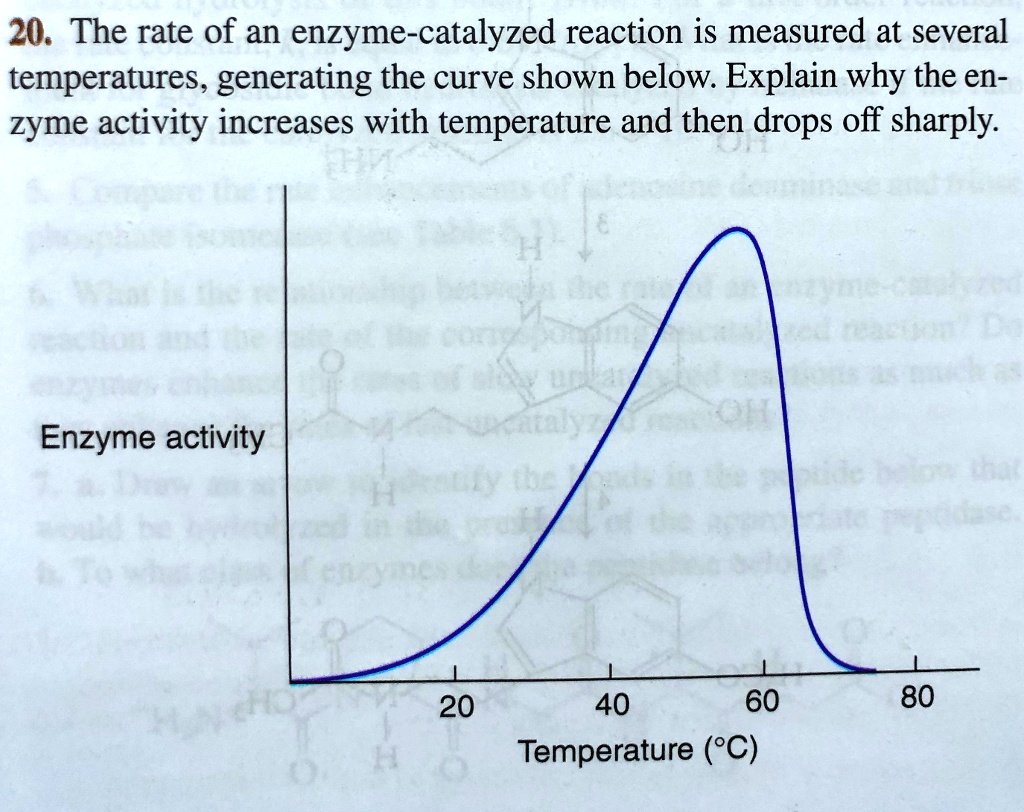 20 The Rate Of An Enzyme Catalyzed Reaction Is Measured At Several Temperatures Generating The