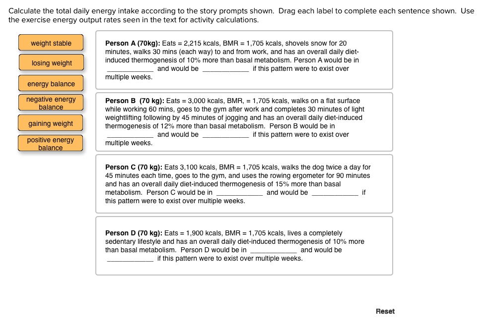 SOLVED: Calculate the total daily energy intake according to the story ...