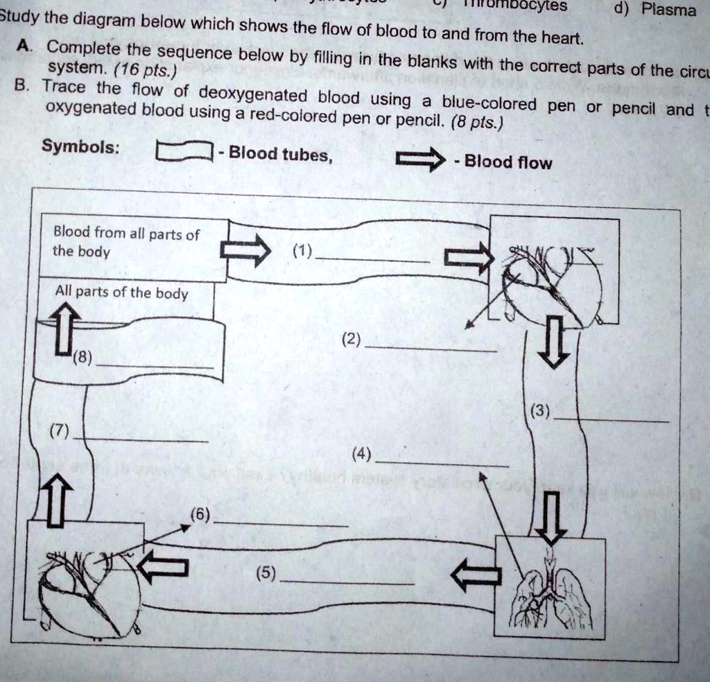 Study the diagram below which shows the flow of blood to and from the heart. A. Complete the ...