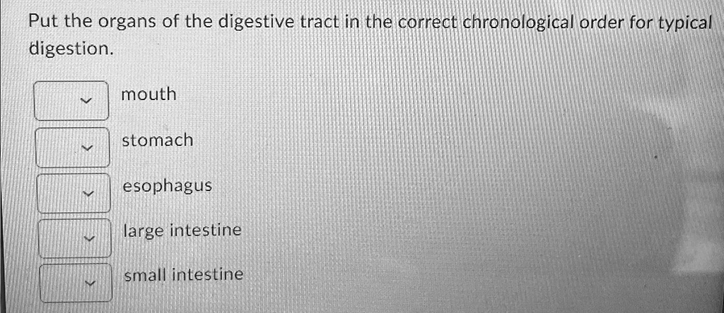 Put the organs of the digestive tract in the correct chronological ...