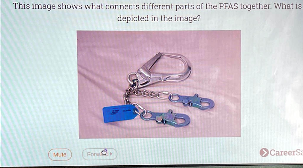This image shows what connects different parts of the PFAS together ...