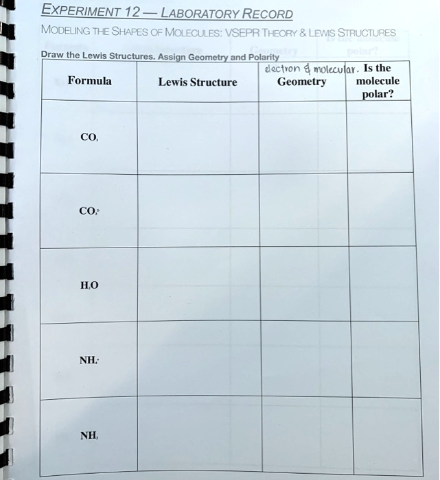 Solved Experiment 12 Laboratory Record Modeling The Shapes Of
