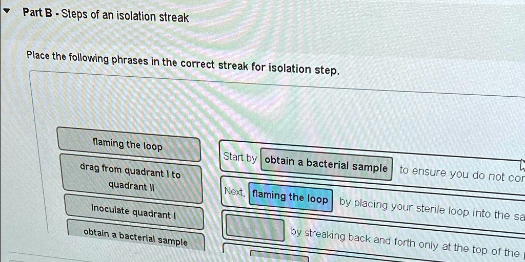? Part B - Steps of an isolation streak Place the following phrases in ...
