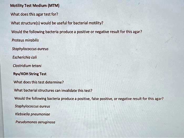 SOLVED: Motility Test Medium (MTM) What does this agar test for? What ...