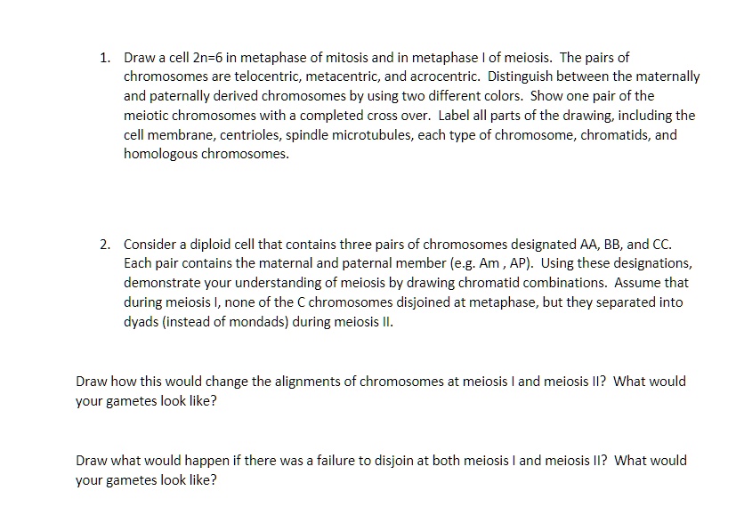 1. Draw a cell 2n=6 in metaphase of mitosis and in metaphase I of ...