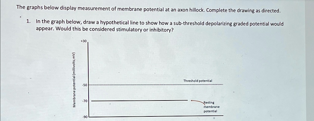 SOLVED: The graphs below display measurements of membrane potential at ...