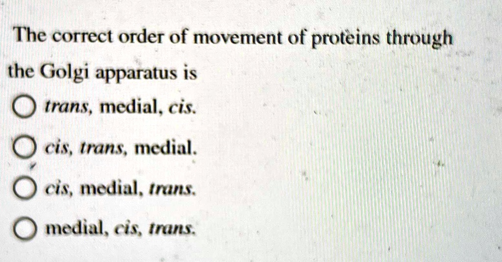 The correct order of movement of proteins through the Golgi apparatus ...