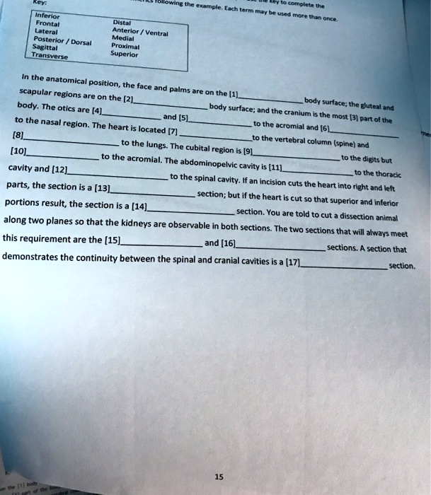 Key: following the example. Each term may be used more than once ...