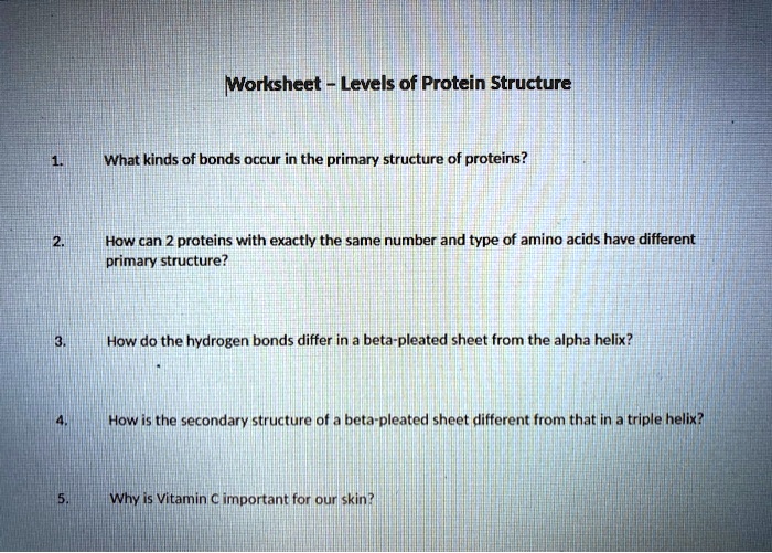 SOLVED: Worksheet ILevels of Protein Structure What kinds of bonds ...