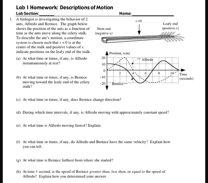 SOLVED: Lab 1 Homework: Descriptions of Motion Lab Section: Name: I. A ...