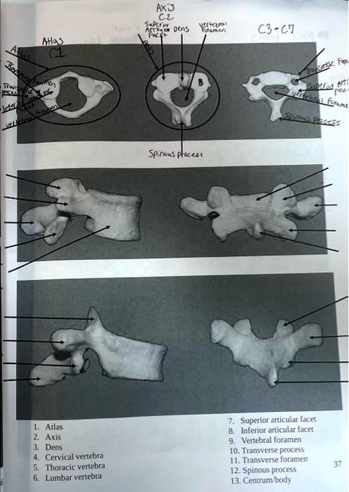 can you fill in the blanks for the last two boxes i will give a like ...