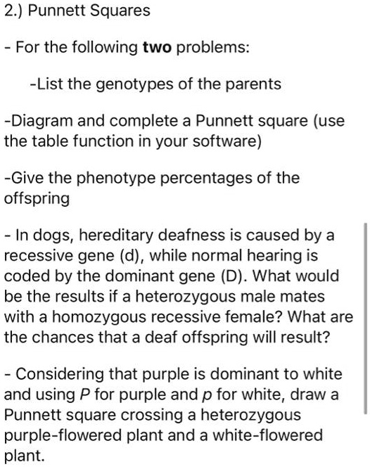 SOLVED: 2.) Punnett Squares For the following two problems: List the ...