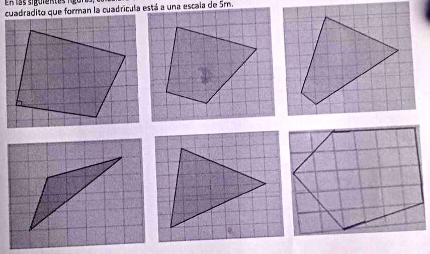 SOLVED: SITUACIÓN 2 En las siguientes figuras, calculara el área de los ...