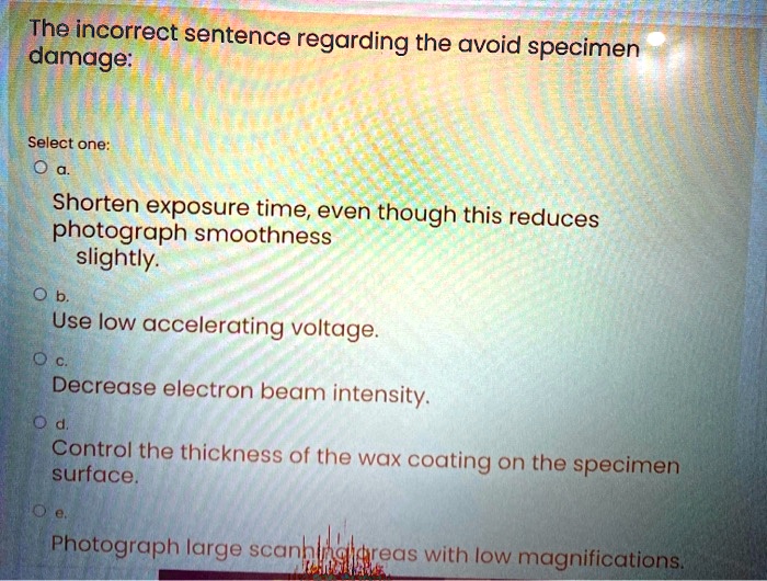 Use Of Beam In A Sentence - The Best Picture Of Beam