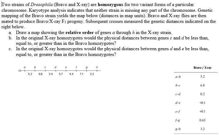 Two strains of Drosophila (Bravo and X-ray) are homozygous for two ...