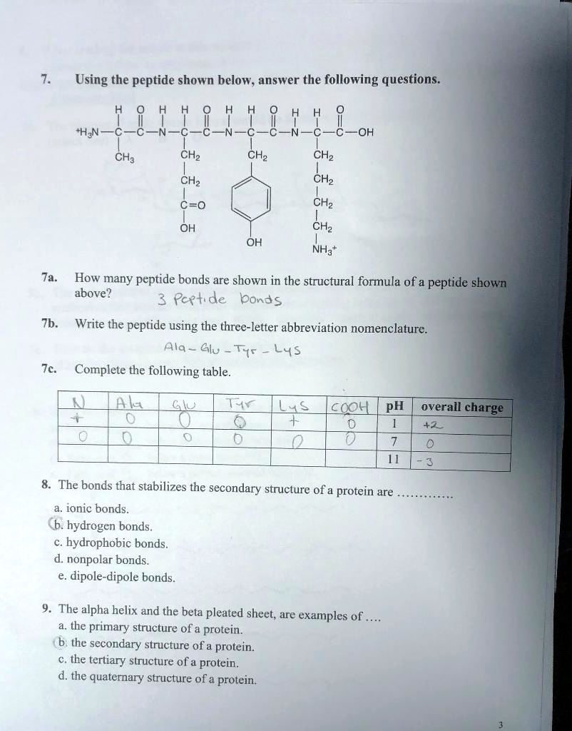 SOLVED: Using the peptide shown below, answer the following questions. #HaN C COH CH3 CHz CHz ...