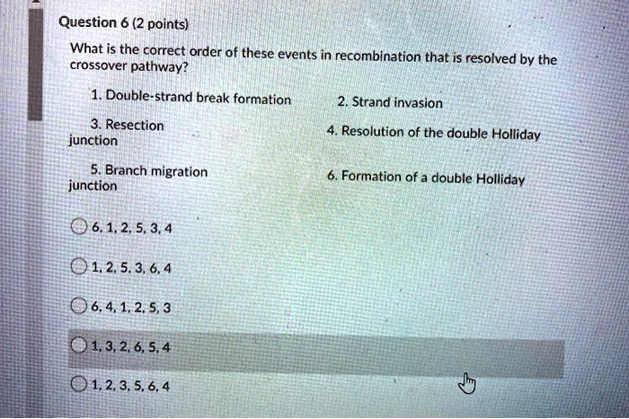 Question 6 2 points what is the correct order of these...