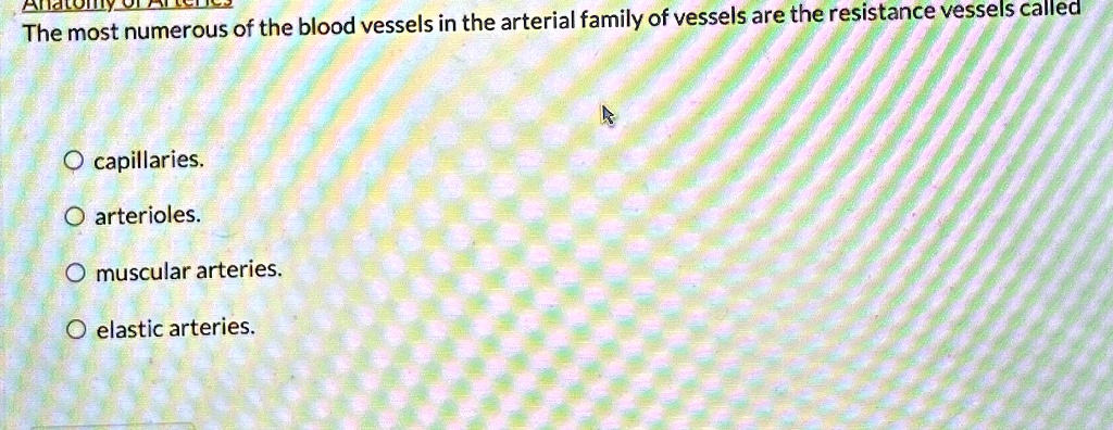 SOLVED: The most numerous of the blood vessels in the arterial family ...