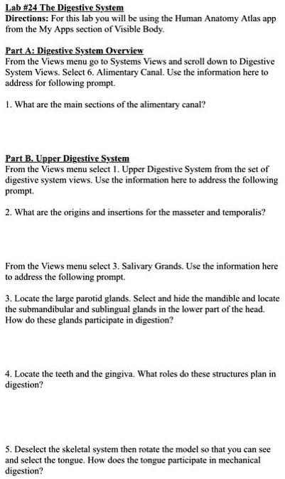 Lab #24 The Digestive System Directions: For this lab you will be using ...