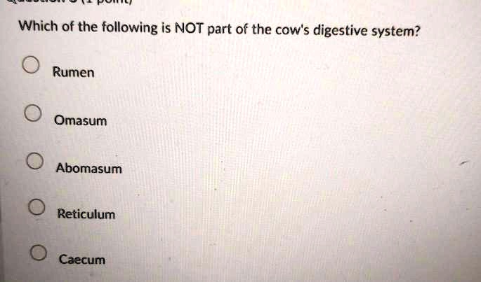SOLVED: Which of the following is NOT part of the cow's digestive ...
