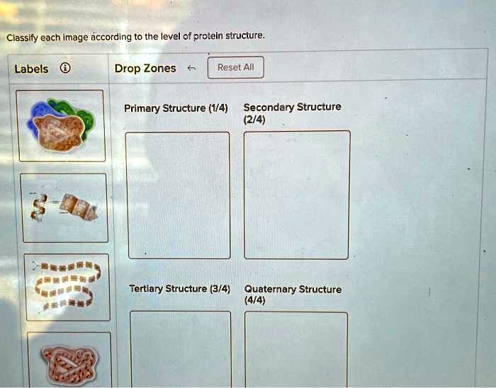 SOLVED: Classify each image according to the level of protein structure. Labels Drop Zones Reset ...