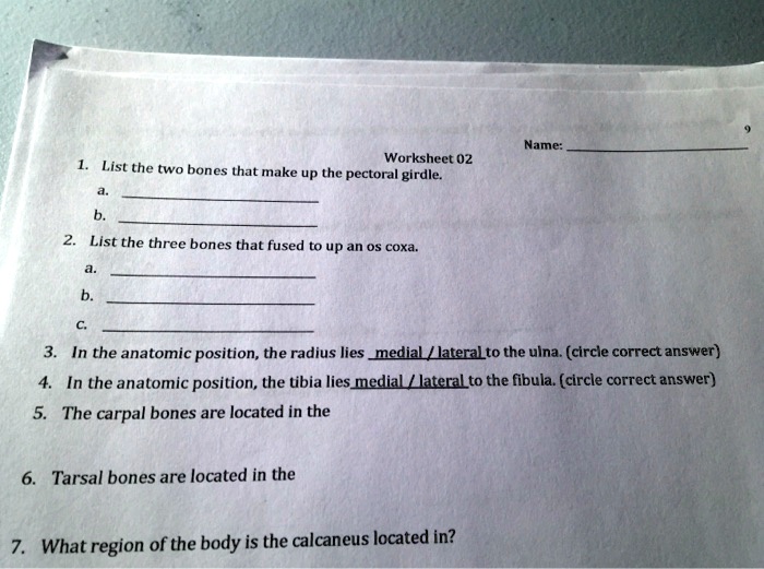SOLVED: Nam List Worksheet 02 the two bones that make Up the pectoral ...