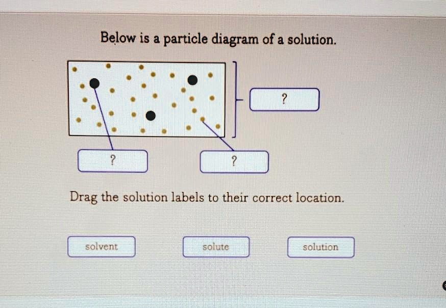 SOLVED: Below is a particle diagram of a solution. Drag the solution ...
