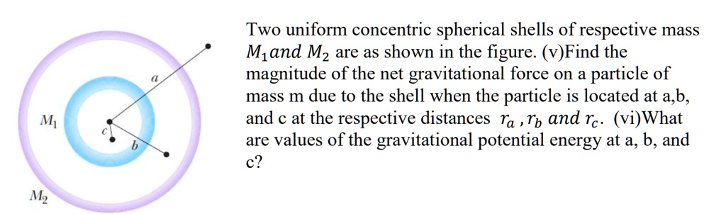 Two uniform concentric spherical shells of respective mass M1 and M2 are as shown in the figure ...