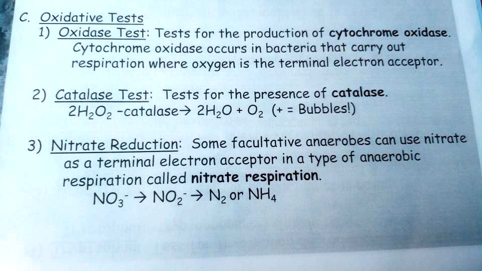 C. Oxidative Tests 1) Oxidase Test: Tests for the production of ...
