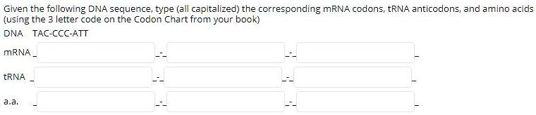 SOLVED: Given the following DNA sequence, type (all capitalized) the corresponding mRNA codons ...
