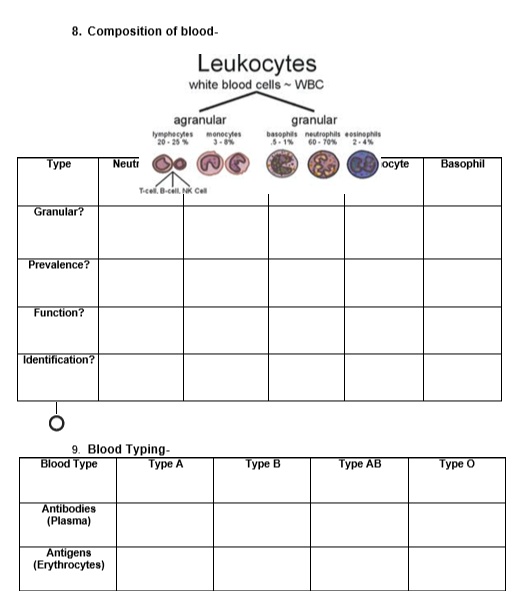 SOLVED: Composition ol blood- Leukocytes white blood cclls WBC ...