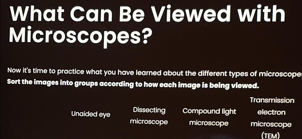 What Can Be Viewed with Microscopes? Now it's time to practice what you ...