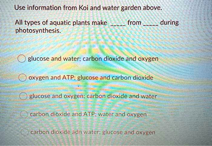 use information from koi and water garden above ail types of aquatic ...