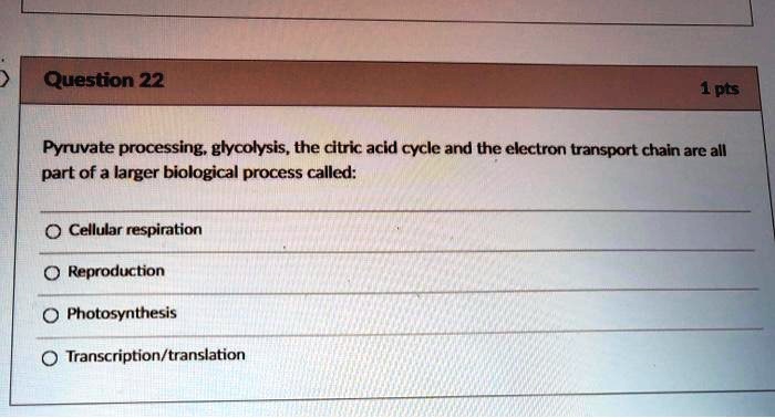 SOLVED: Pyruvate processing, glycolysis, the citric acid cycle, and the ...