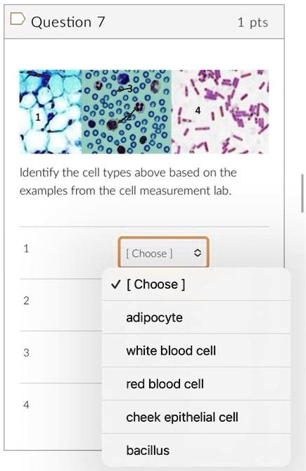Question 7 1 pts 1 4 Identify the cell types above based on the ...