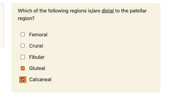 Which of the following regions is/are distal to the patellar region ...