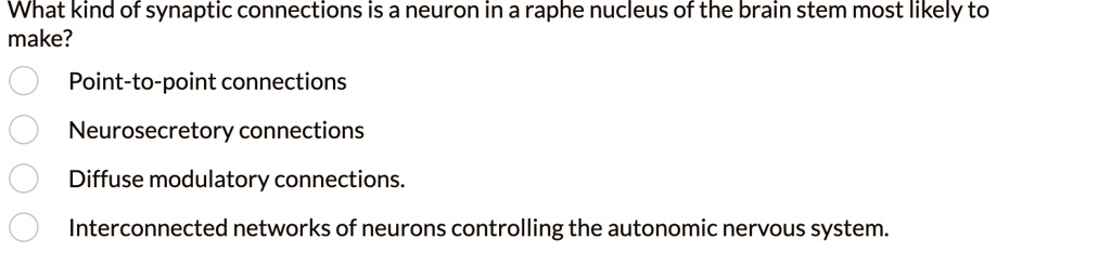 What kind of synaptic connections is a neuron in a raphe nucleus of the ...
