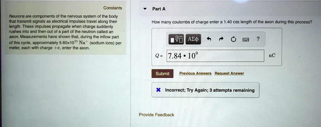 constants part a neurons are components of the nervous system of the ...