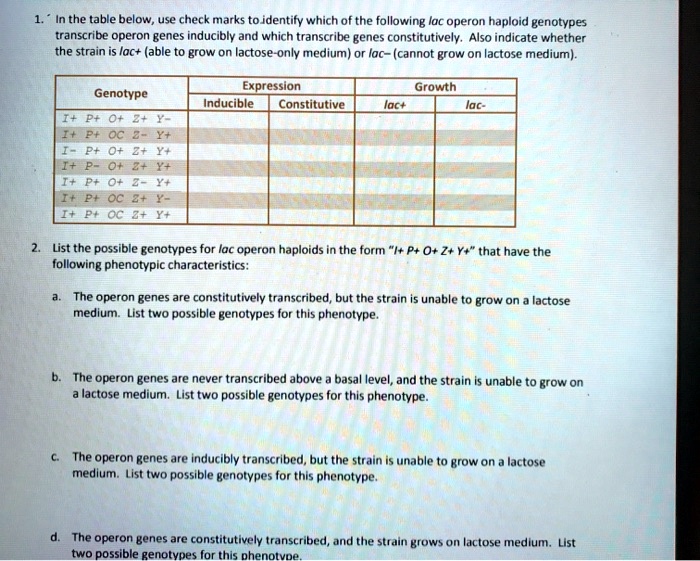 in the table below use check marks to identify which of the following ...