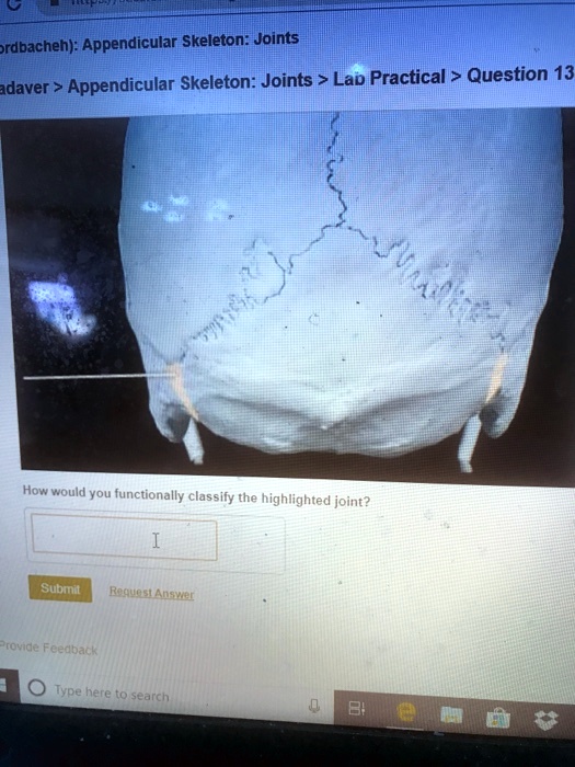 SOLVED: Appendicular Skeleton: Joints Lab Practical: Question 13 How ... SOLVED: Appendicular Skeleton: Joints Lab Practical: Question 13 How ...
