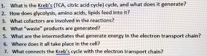 SOLVED: What is the Krebs (TCA, citric acid cycle) cycle, and what does ...