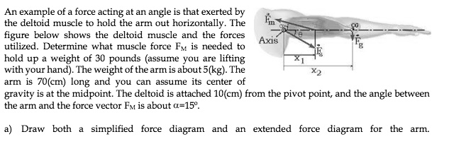 an example of force acting at an angle is that exerted by the deltoid ...